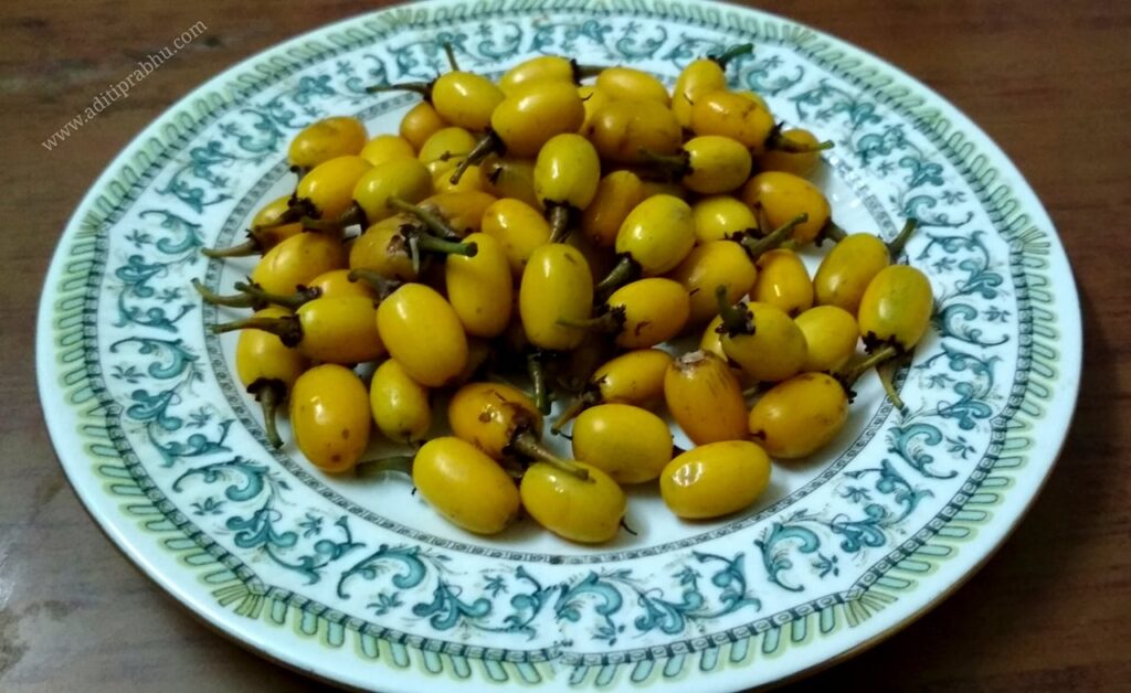 Khirni / Rayan-The refreshing summer berry - Nutritionist Aditi Prabhu