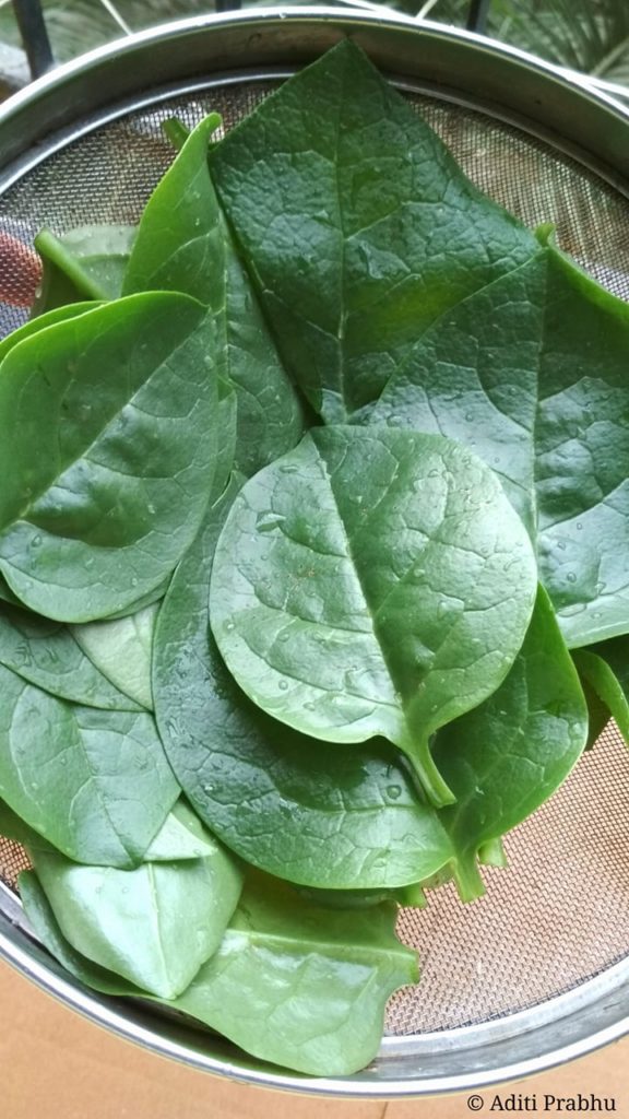 Malabar Spinach/Mayalu: Its Amazing Nutritional Benefits ...