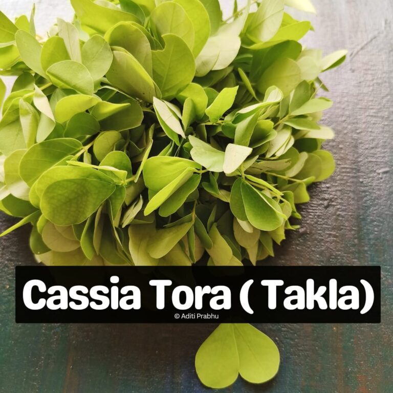 Takla (Cassia Tora): Wild Monsoon Superfood - Nutritionist Aditi Prabhu