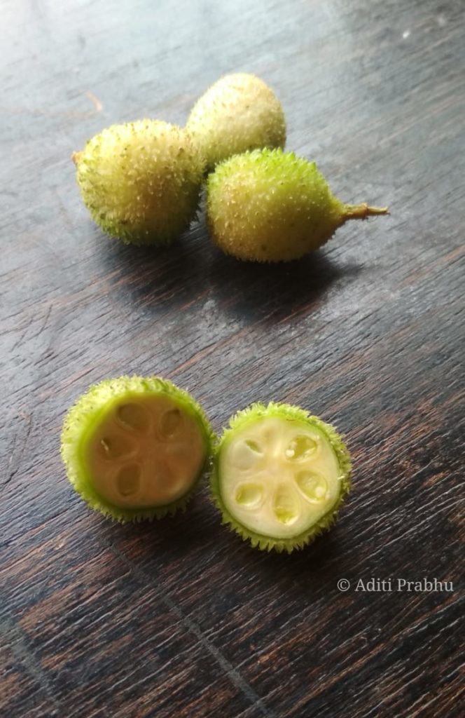 Kantola / Spine Gourd And Its Benefits - Nutritionist Aditi Prabhu