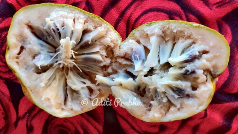 Ramphal: The Lesser-known Bullock Heart Fruit - Nutritionist Aditi Prabhu